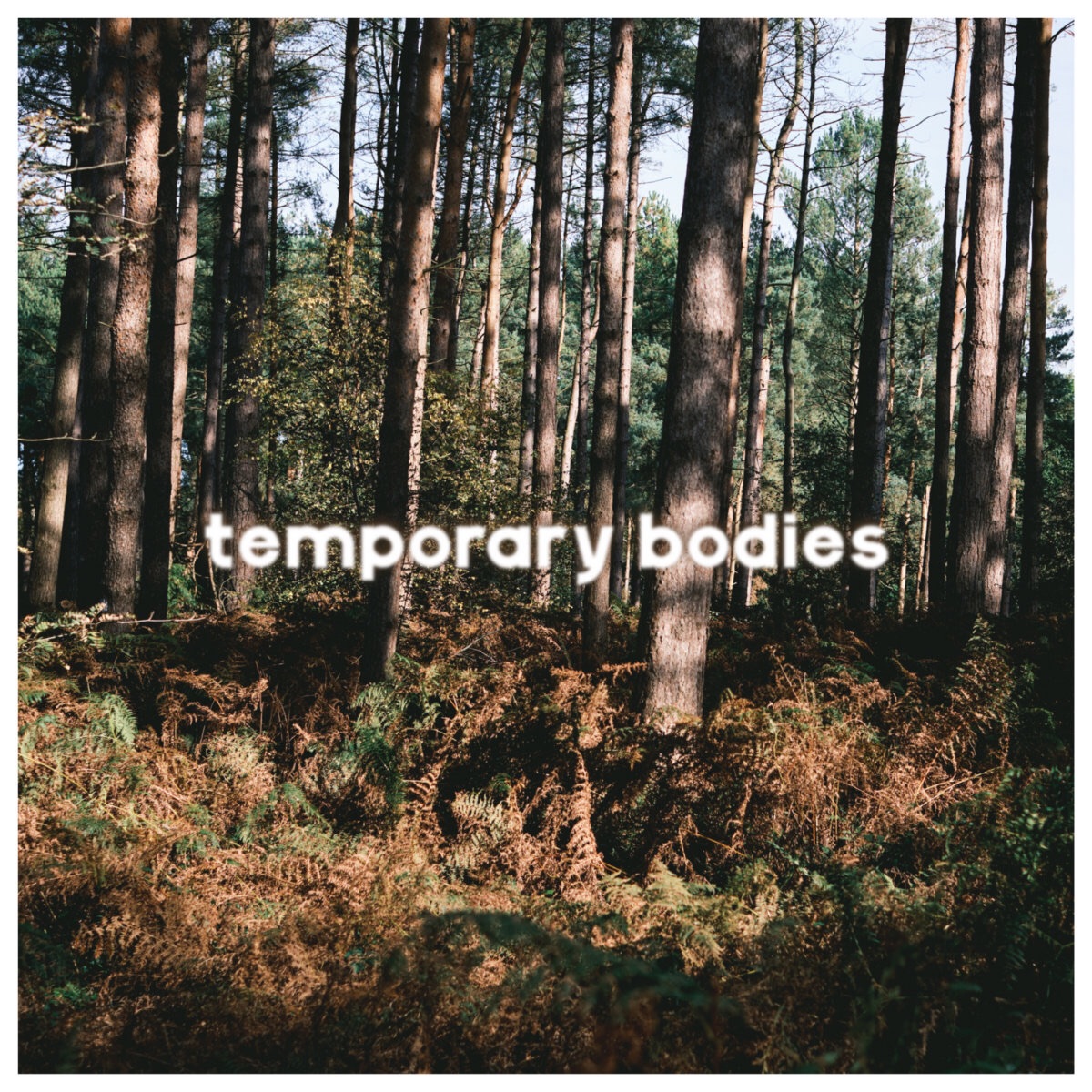 Temporary Bodies – Transformations In K – Further.